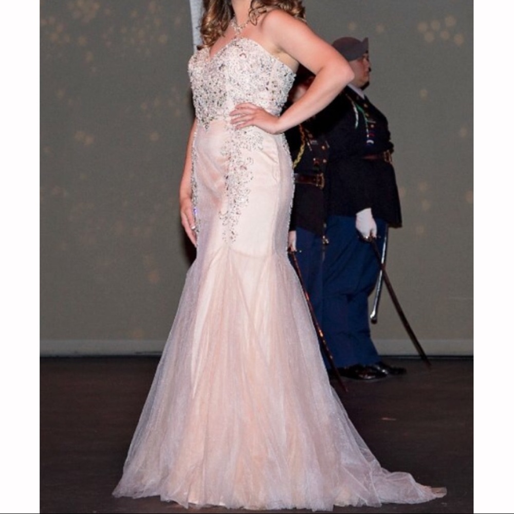 Blush Mermaid Pageant/ Prom Dress - Gem
